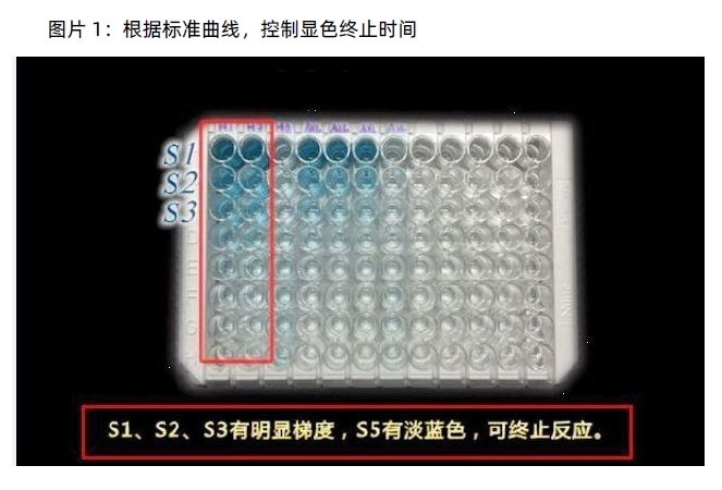 一文掌握ELISA实验显色判断、数据分析及标曲拟合 - 联科生物