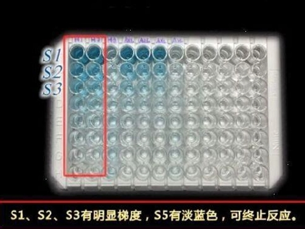 Human Granzyme B ELISA Kit 检测试剂盒（酶联免疫吸附法） - 联科生物