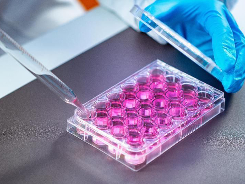 Human IFN-gamma ELISA Kit检测试剂盒（酶联免疫吸附法） - 联科生物